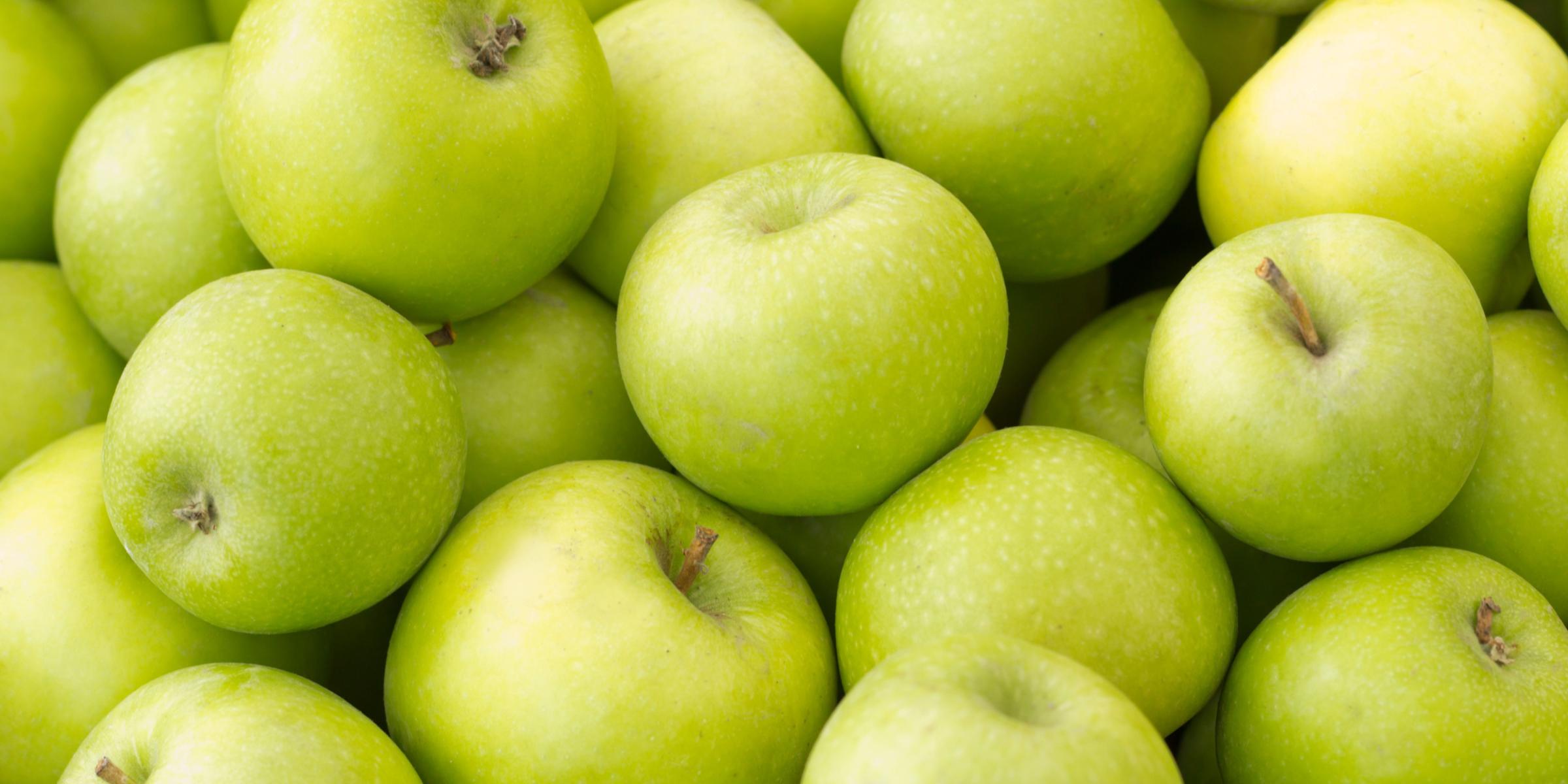 Who We Are · GoodRoots Northwest