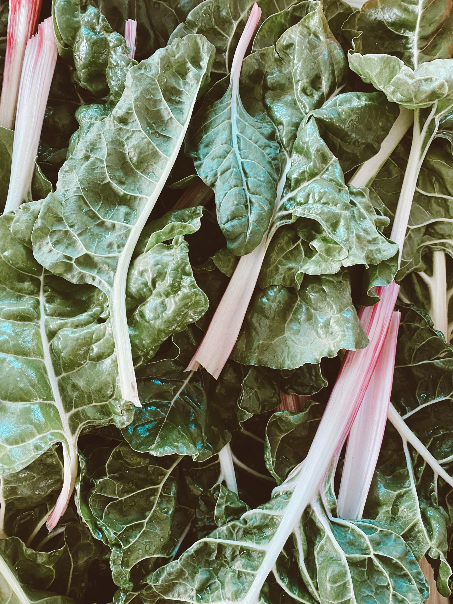 Our Team · GoodRoots Northwest